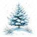 8 Watercolor Snowy Pine Tree Winter Clipart, Winter Pine Tree Clipart ...