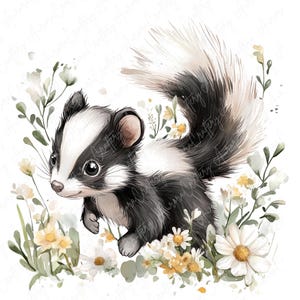 13 Watercolor Skunk Clipart, Woodland Skunk, Cute Forest Animal Clipart ...