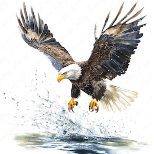 4 Watercolor Eagle Clipart, Soaring Bald Eagle Over Water, Wildlife ...