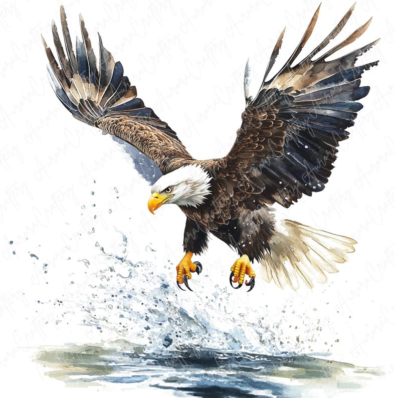 4 Watercolor Eagle Clipart, Soaring Bald Eagle Over Water, Wildlife ...