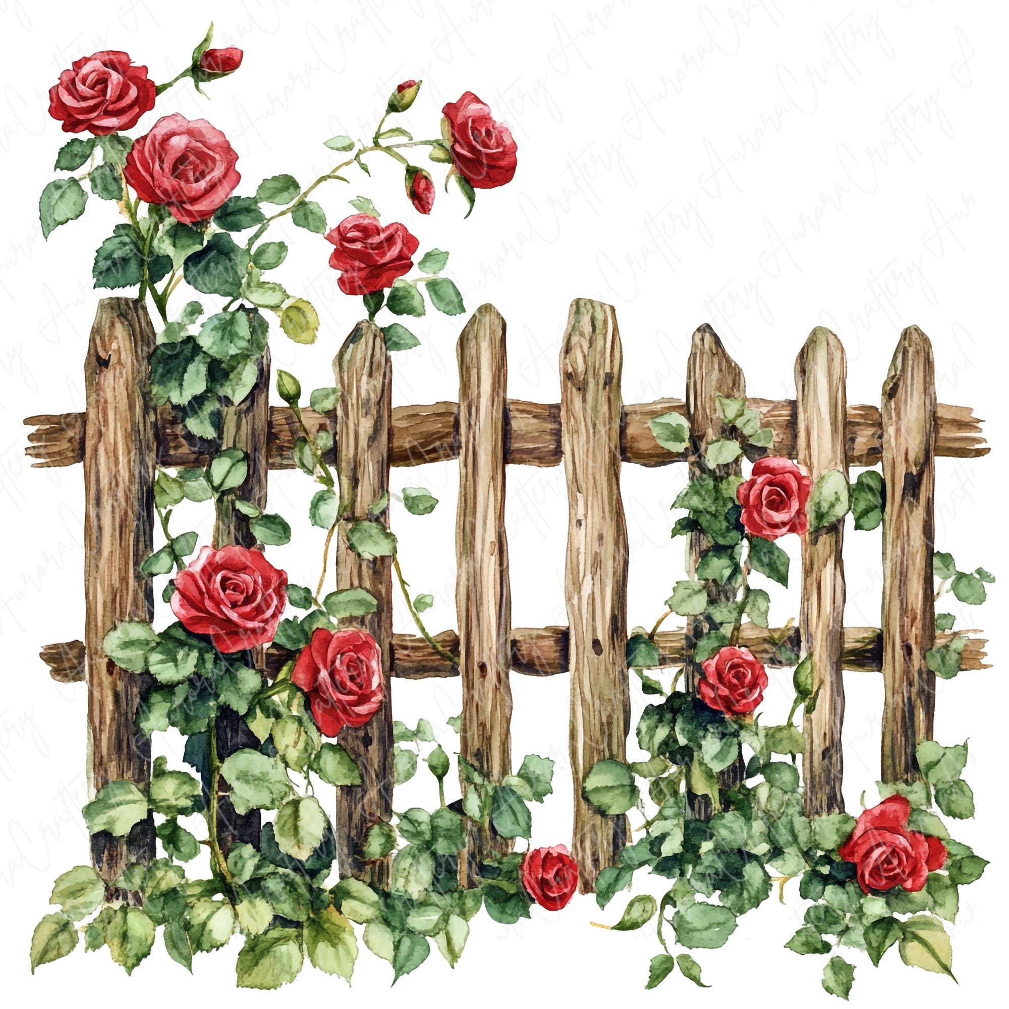 13 Watercolor Rose Fence Clipart, Romantic Valentine's Love Fences With ...