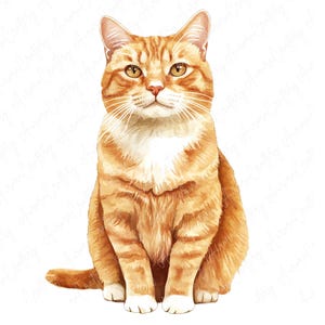 14 Watercolor Ginger Cat Clipart, Playful Orange Tabby Cats, Cute Cat ...