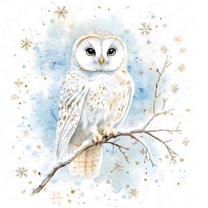 6 Watercolor Winter Owl Clipart, Snowy Woodland Owl, Festive White Owl ...
