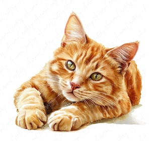 14 Watercolor Ginger Cat Clipart, Playful Orange Tabby Cats, Cute Cat ...