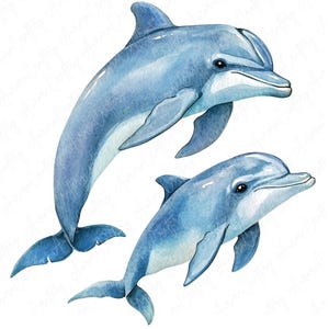 9 Watercolor Dolphin Clipart, Ocean Clipart, Cute Dolphin Clipart ...
