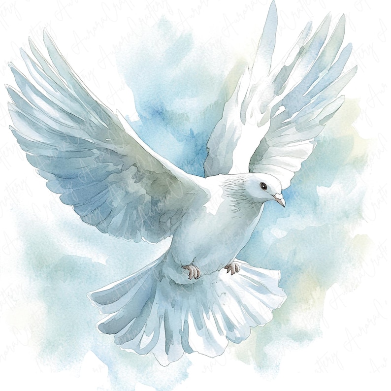 8 Watercolor White Dove Clipart, Peaceful Dove Clipart Memorial Dove ...