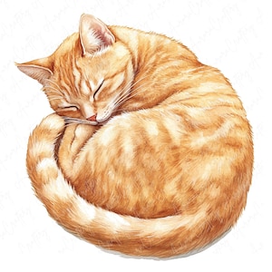 14 Watercolor Ginger Cat Clipart, Playful Orange Tabby Cats, Cute Cat ...