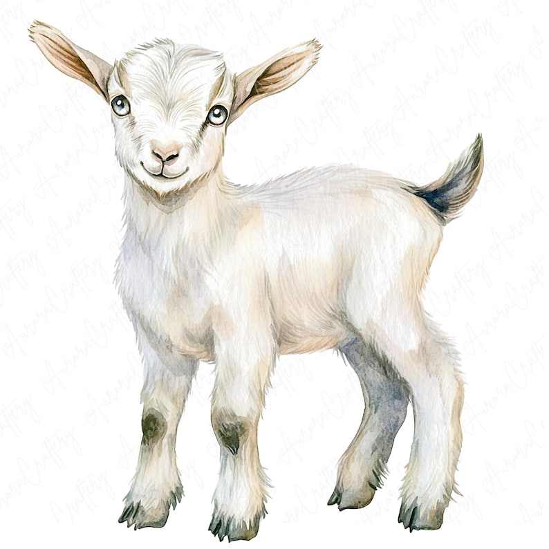 11 Watercolor Cute Goat Clipart, Adorable Baby Goat, Farm Animal ...