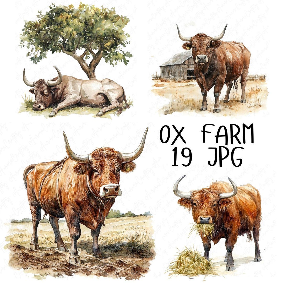 19 Ox Farm Watercolor Clipart, Watercolor Ox Farm Clipart, Cute Farm ...
