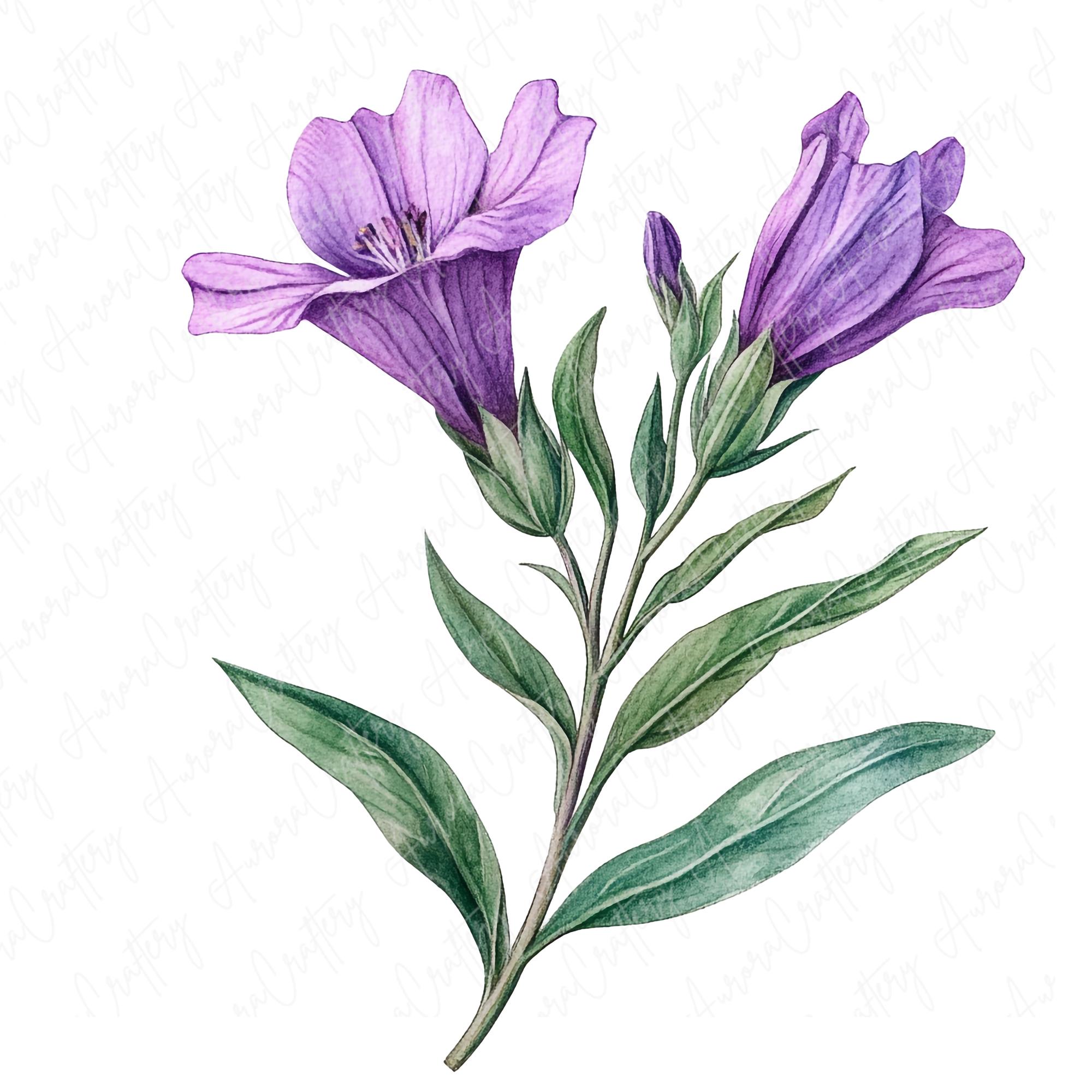8 Purple Flower Clipart, Lavender and Violet Blossoms Wildflower ...