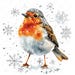 8 Winter Robin Watercolor Clipart, Festive Woodland Bird Clipart ...
