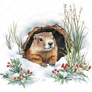 8 Watercolor Festive Groundhog Clipart, Winter Woodland Animal Clipart ...