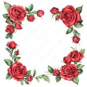 12 Watercolor Rose Frame Clipart, Valentine's Red Roses Square Frames ...