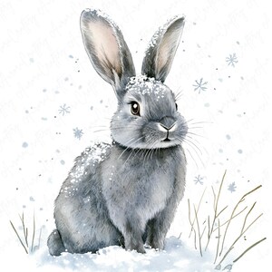 10 Watercolor Winter Rabbit Clipart, Woodland Bunny Clipart, Snowy ...