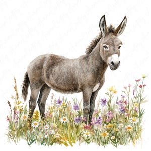 10 Donkey Farm Clipart, Watercolor Donkeys, Cute Donkey Clipart, Farm ...