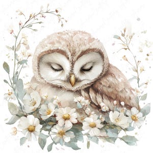 10 Watercolor Owl Clipart, Cute Owl Woodland Clipart, Woodland Owl and ...