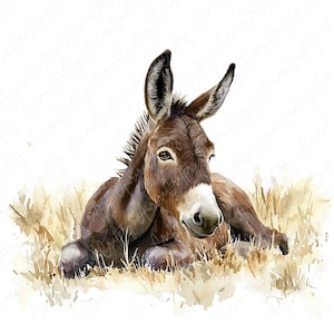 10 Donkey Farm Clipart, Watercolor Donkeys, Cute Donkey Clipart, Farm ...