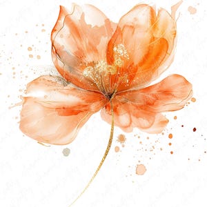 13 Abstract Orange Yellow Watercolor Floral Clipart Bundle, Bright ...