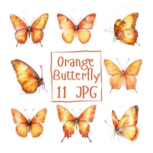 11 Watercolor Orange Butterfly Clipart, Orange Butterfly Designs for ...