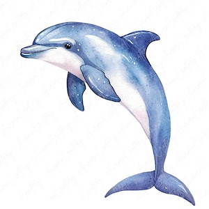 9 Watercolor Dolphin Clipart, Ocean Clipart, Cute Dolphin Clipart ...