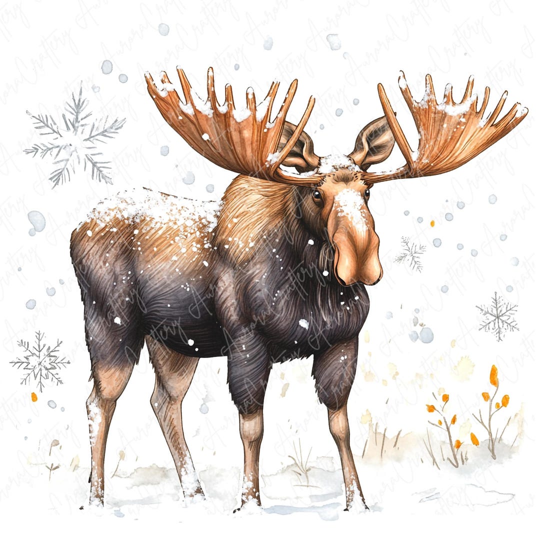 8 Watercolor Winter Moose Clipart, Woodland Moose Clipart, Winter ...