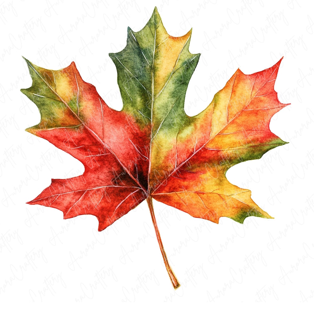 Watercolor Fall Leaves Clipart, Autumn Maple Leaves for Crafts, Autumn ...