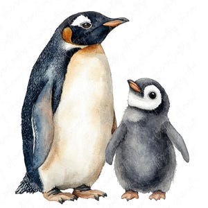 6 Watercolor Cute Penguin Clipart, Adorable Baby Penguin, Whimsical ...