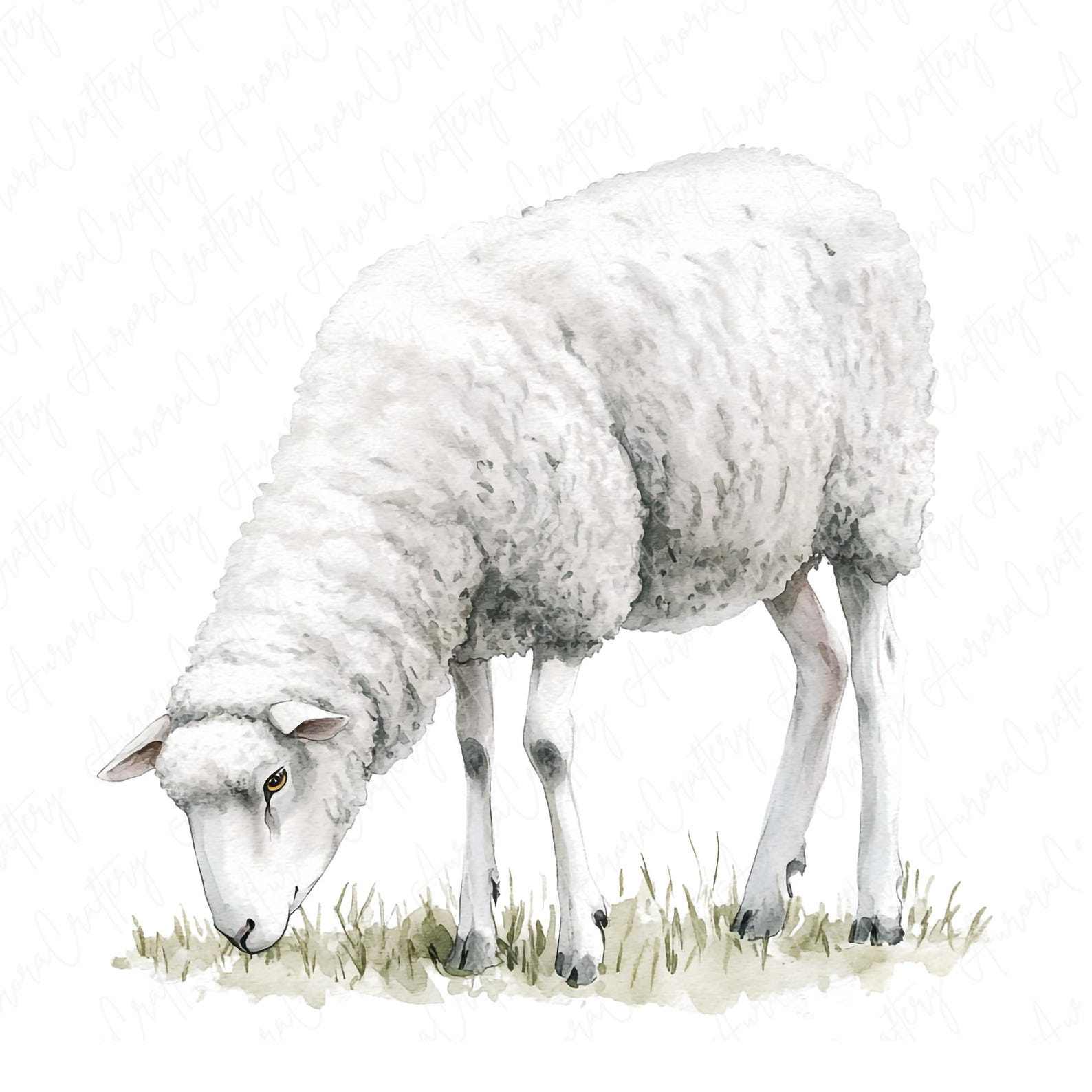 12 Watercolor Sheep Farm Clipart, Cute Sheep Clipart, Farm Animal ...