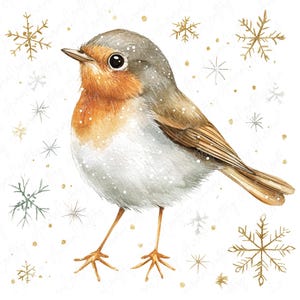 8 Winter Robin Watercolor Clipart, Festive Woodland Bird Clipart ...