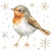8 Winter Robin Watercolor Clipart, Festive Woodland Bird Clipart ...