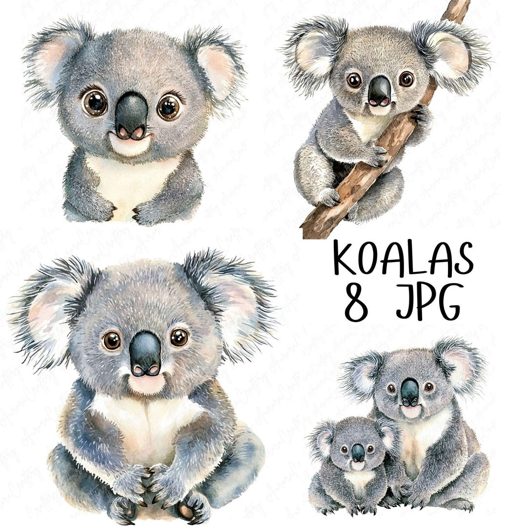 8 Watercolor Koala Clipart, Cute Baby Koala, Australian Wildlife ...