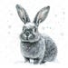 10 Watercolor Winter Rabbit Clipart, Woodland Bunny Clipart, Snowy ...
