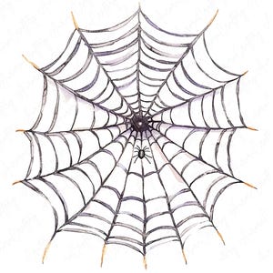 8 Watercolor Spiderweb Clipart for Spooky Decor, Spooky Clipart, Scary ...