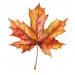 Watercolor Fall Leaves Clipart, Autumn Maple Leaves for Crafts, Autumn ...