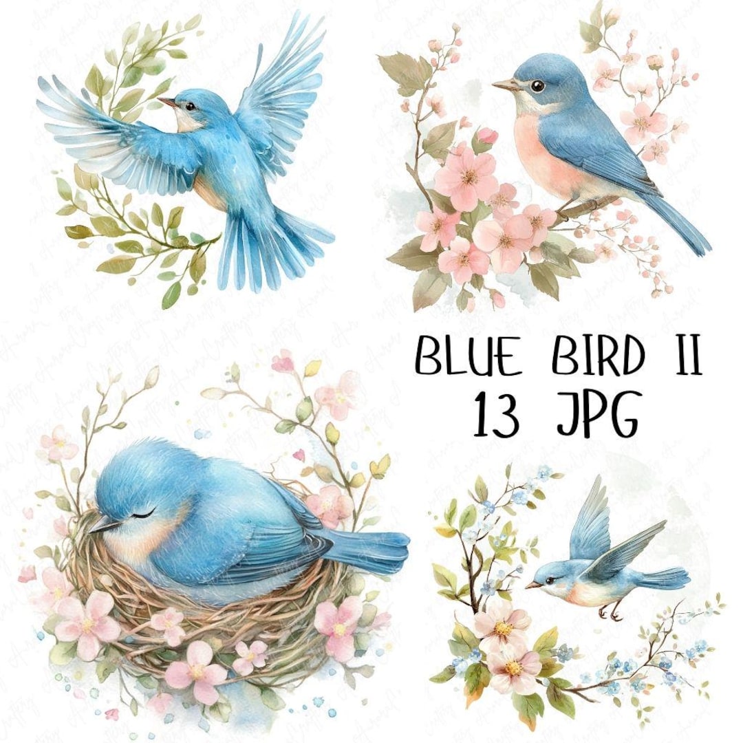 13 Watercolor Bluebird Clipart, Spring Floral Blue Bird Clipart ...