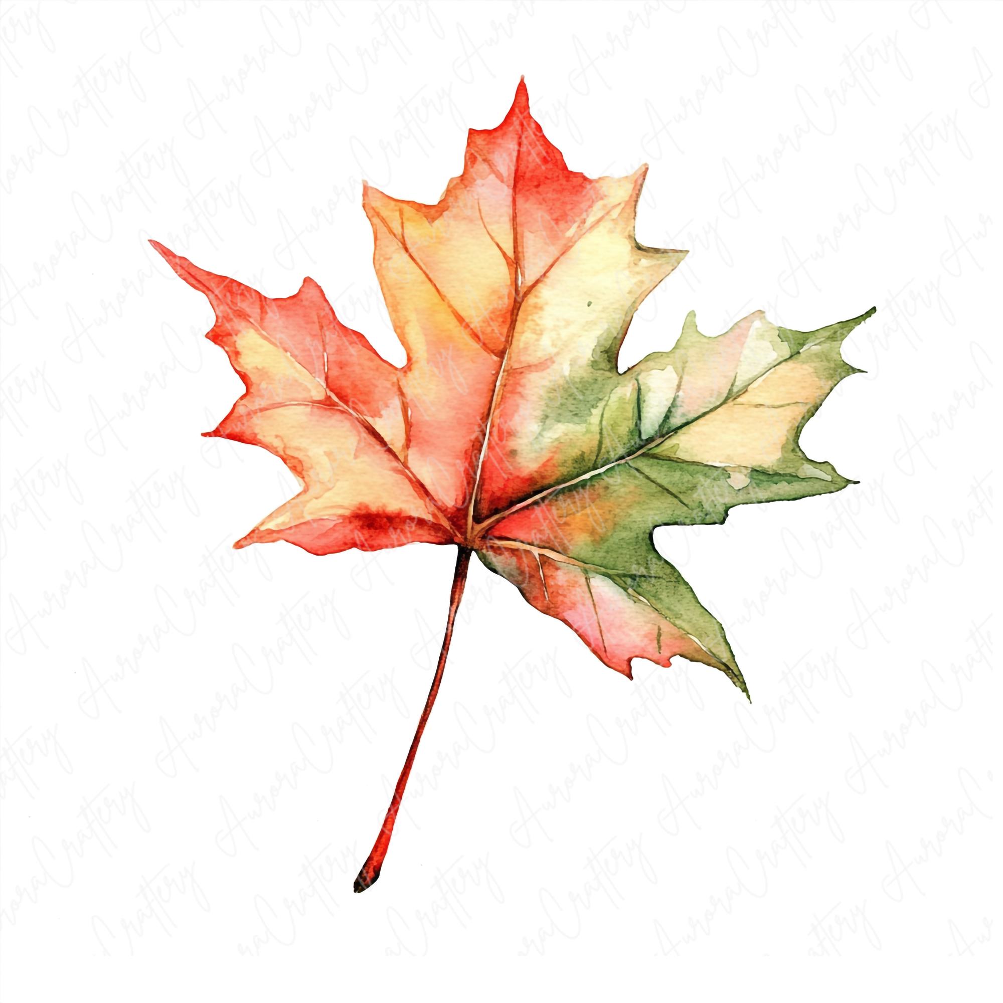Watercolor Fall Leaves Clipart, Autumn Maple Leaves for Crafts, Autumn ...