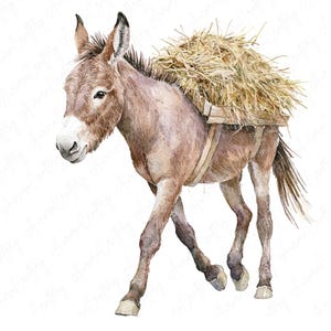 10 Donkey Farm Clipart, Watercolor Donkeys, Cute Donkey Clipart, Farm ...