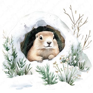 8 Watercolor Festive Groundhog Clipart, Winter Woodland Animal Clipart ...