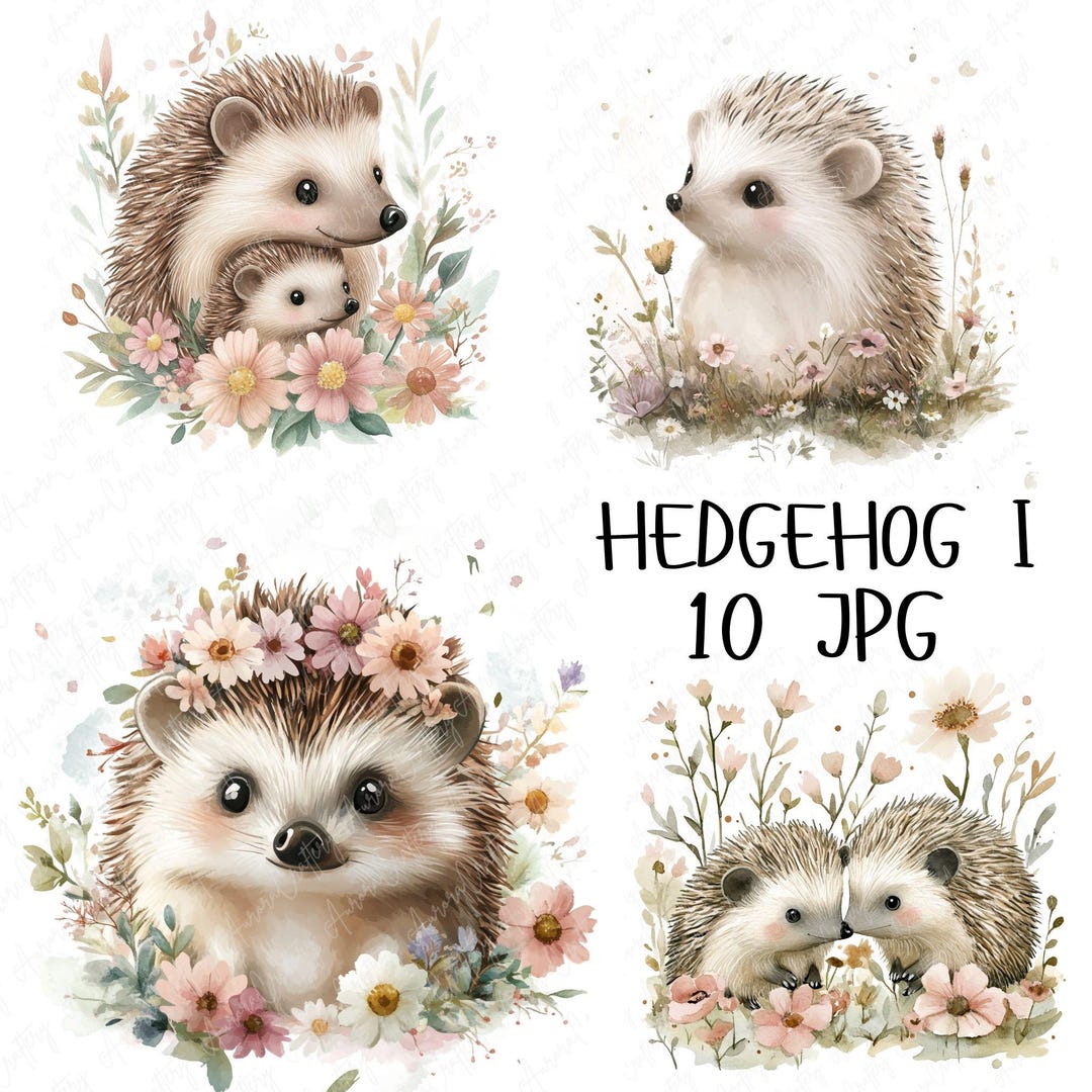 10 Watercolor Hedgehog Clipart, Woodland Hedgehog Family Flowers, Cute ...