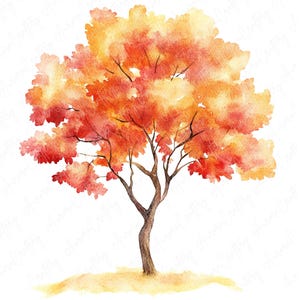 7 Watercolor Fall Tree Clipart, Autumn Foliage, Autumn Clipart, Fall ...