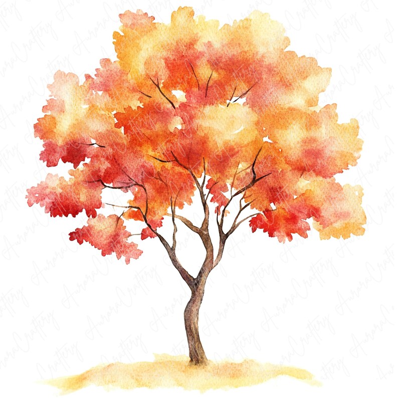 7 Watercolor Fall Tree Clipart, Autumn Foliage, Autumn Clipart, Fall ...