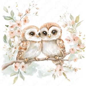 10 Watercolor Owl Clipart, Cute Owl Woodland Clipart, Woodland Owl and ...