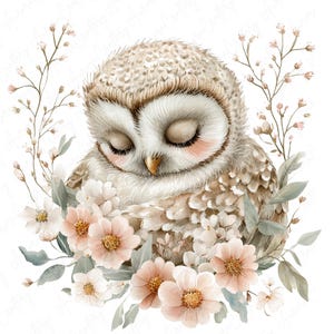 10 Watercolor Owl Clipart, Cute Owl Woodland Clipart, Woodland Owl and ...