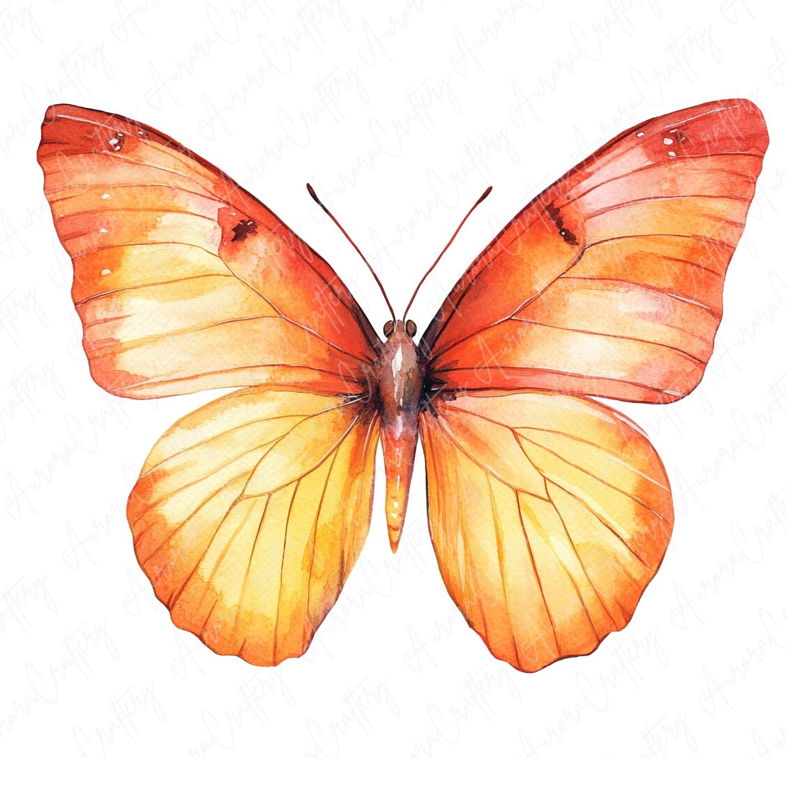 11 Watercolor Orange Butterfly Clipart, Orange Butterfly Designs for ...