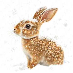 9 Watercolor Winter Bunny Clipart, Snow Rabbit in Winter, Watercolor ...