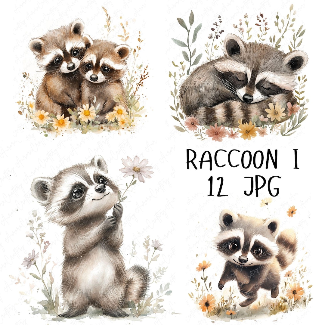 12 Watercolor Raccoon Clipart, Woodland Raccoon, Cute Forest Animal ...