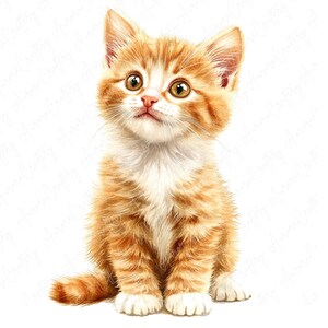 14 Watercolor Ginger Cat Clipart, Playful Orange Tabby Cats, Cute Cat ...
