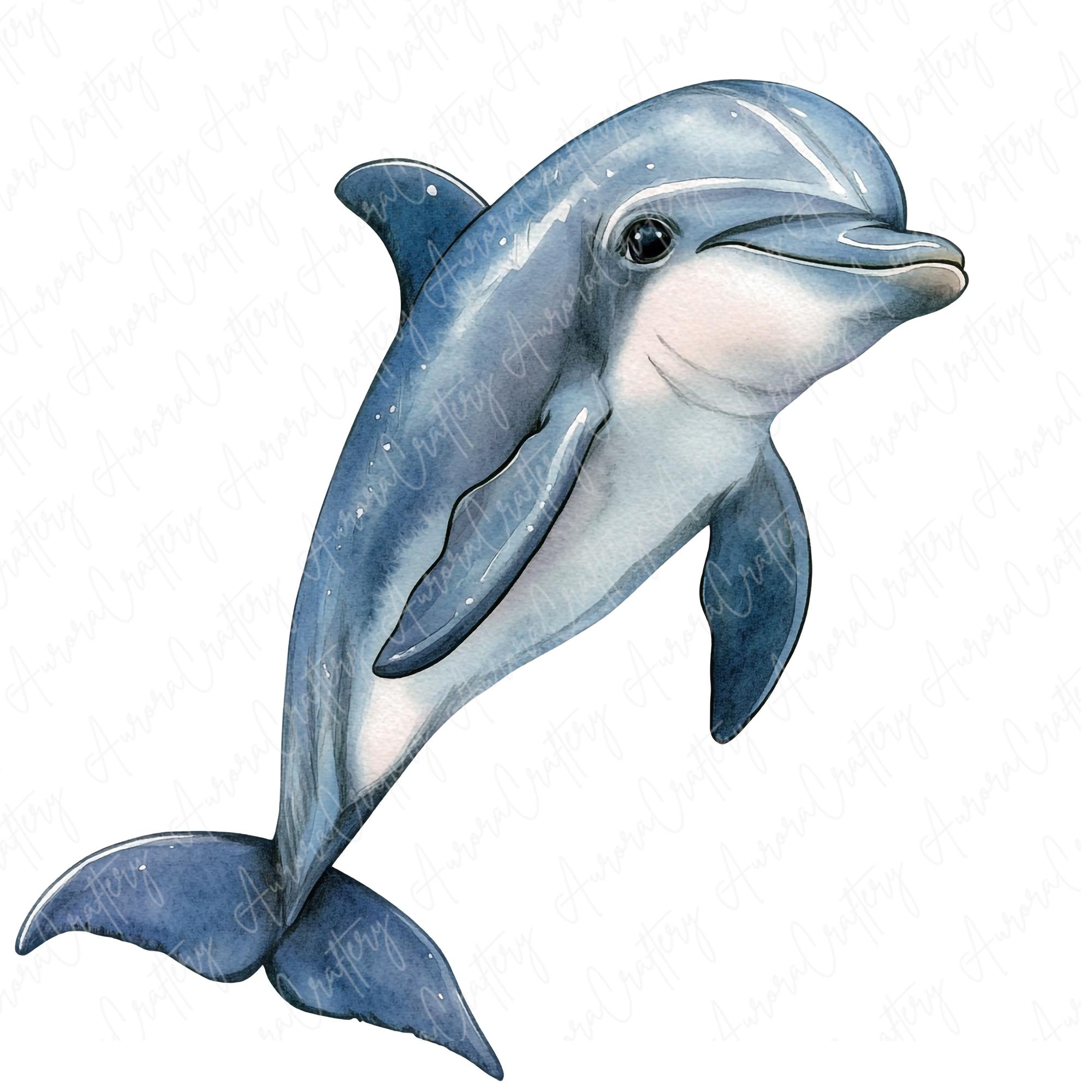 9 Watercolor Dolphin Clipart, Ocean Clipart, Cute Dolphin Clipart ...