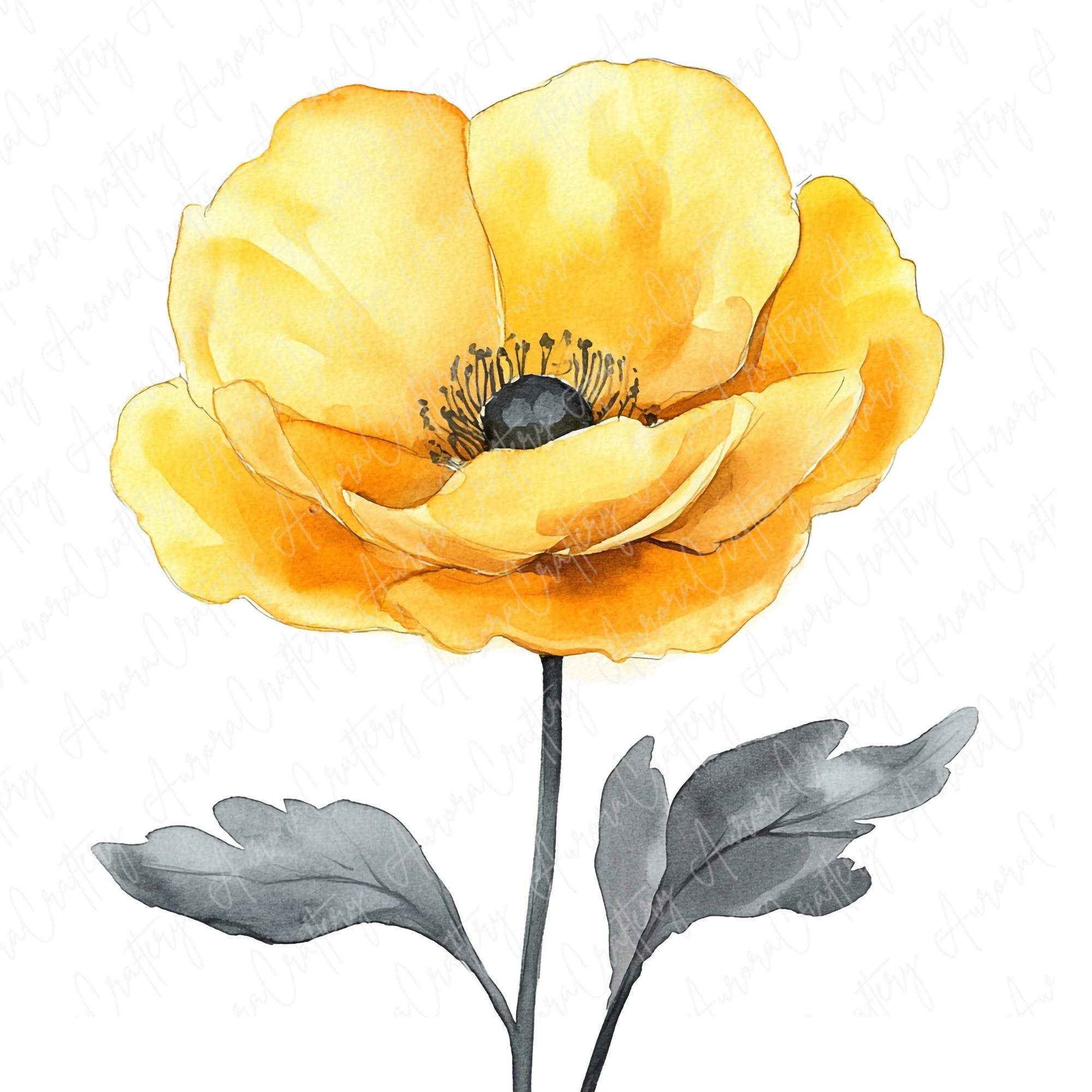 12 Watercolor Buttercup Floral Clipart, Yellow and Grey Flowers ...