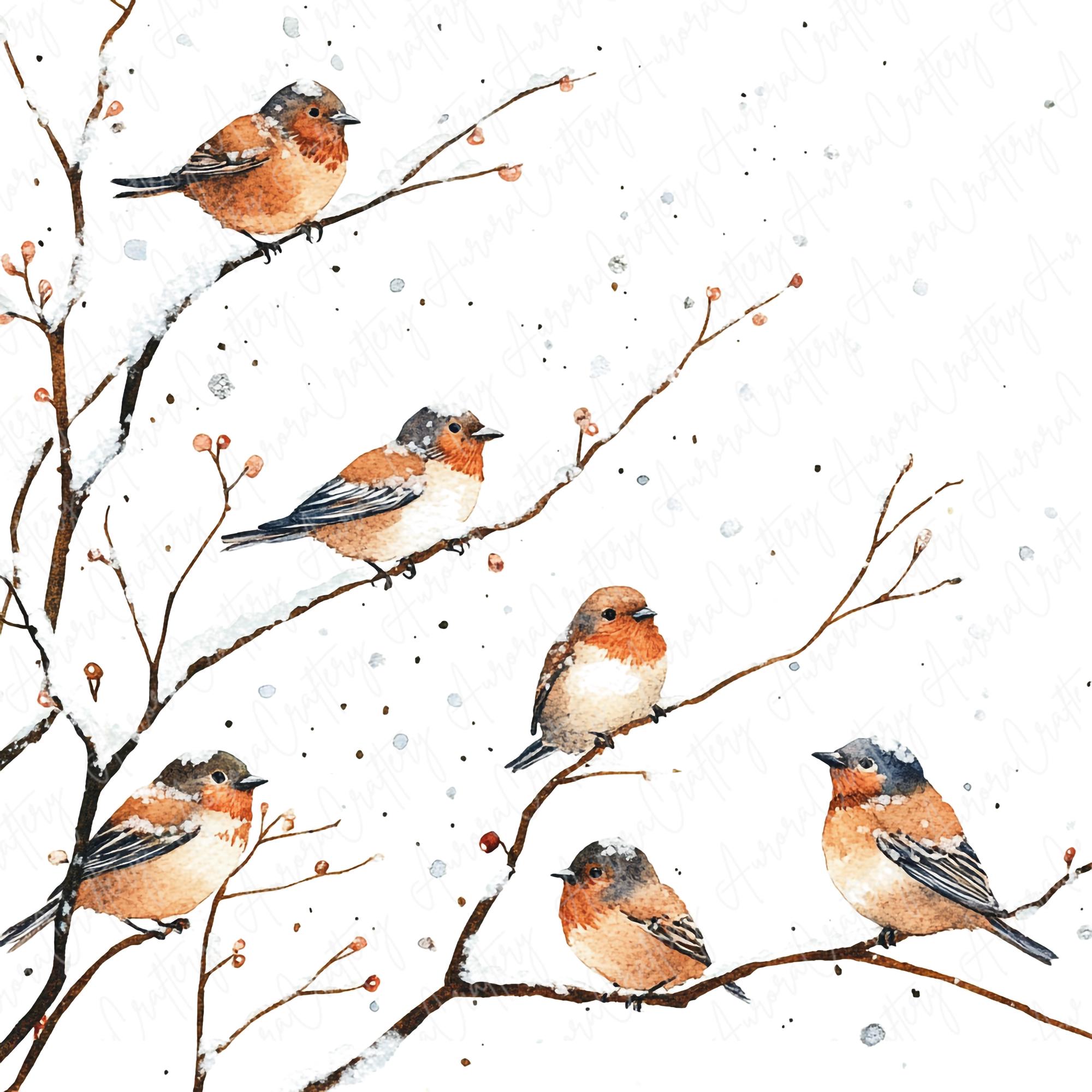 7 Watercolor Winter Birds Clipart, Woodland Bird Clipart, Birds on ...